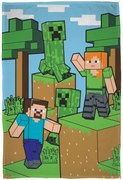 Fleecová deka Minecraft - motiv Alex a Steve - Polar flece - 100 x 150 cm