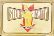 Plechová cedule  The Simpsons Homer Hloupá gravitace