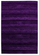Tmavě fialový koberec 120x170 cm Plus – Ayyildiz Carpets
