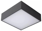 Lucide 27816/10/29 - LED Koupelnové stropní svítidlo ROXANE LED/12W/230V IP54