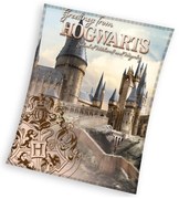 MK Lůžkoviny Dětská mikroplyšová deka 130 x 160 cm - Harry Potter Bradavické Tajemství