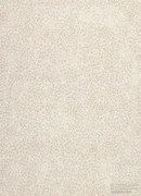 Breno Kusový koberec PIAZZO 12268/100, 80x140 cm, Béžová/Vícebarevné