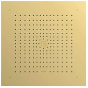 Hansgrohe Raindance E - Hlavová sprcha, 40x40 cm, leštěný vzhled zlata 26252990