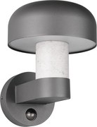 Nástěnné venkovní svítidlo (výška 24,5 cm) Fraser – Trio