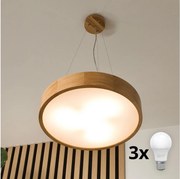 Brilagi - LED Lustr na lanku CARVALHO 3xE27/15W/230V dub pr. 47,5 cm