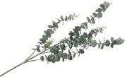 Zelená umělá dekorativní rostlina Eucalyptus - 88 cm