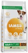 Eukanuba komerční, Iams Iams Dog Adult Small&Medium Lamb 12kg