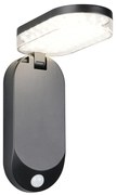LED nástěnné solární venkovní svítidlo (výška 26 cm) Lagoas – Reality