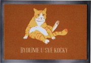 Mercury Flooring, Rohožka Bydlíme u své kočky 40x60 cm, 40x60, oranžová