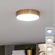 Brilagi - LED Koupelnové stropní svítidlo POOL LED/24W/230V pr. 30 cm IP54 bronz