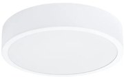 Stropní LED svítilna Onyx 30, 1x LED 23w, 3000k, w