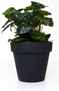 Květináč LEVANTA, plast, výška 35 cm, antracit