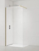 Sprchová zástěna walk-in 120 cm SAT Walk-In SATBWI120PRMO