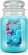 Blue Raspberry – Country Candle – velká vonná svíčka se dvěma knoty
