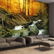 Fototapeta - Lesní potok (245x170 cm)