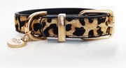 MILK&PEPPER Milkandpepper Obojek pro pro psy Leopard Velikost: 35x2 cm