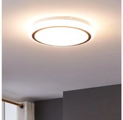 Eglo 900149 - LED Stropní svítidlo CAPASSO LED/14,6W/230V