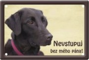 Plechová cedulka Nevstupuj bez mého pána Flat coated retriever