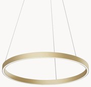 Závěsné LED svítidlo Rim