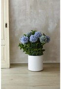 Umělá hortenzie HYDRANGEA v bílém květináči, výška 90 cm, modrá