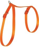 Zolux S.A.S. Postroj kočka nylon 10mm oranžový Zolux