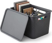 Rotho Úložný box s víkem a s madly BRISEN 16l, 36x26,2x21cm, černý