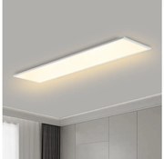 Brilagi - LED Stmívatelné svítidlo SLIMFRAME LED/58W/230V 120x30 cm bílá + DO