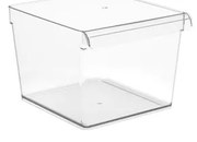 Plastový organizér do lednice 22x20 cm Loft – Rotho