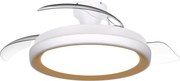 PH 8721103096067 Bliss DC stropní ventilátor a svítidlo 28W+35W zlatý - PHILIPS