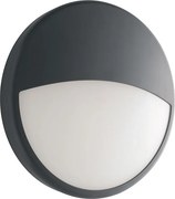 FAN LED-EVER-LP ANT Venkovní nástěnné svítidlo LED EVER antracit, polykarbonát, 20 W, 2500 lm, 3000/4000 K, IP65, 22,1 x 7,2 cm - FANEUROPE