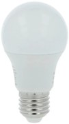LED žárovka bulb 5W E27 6500K 500LM