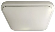 Stropní LED svítidlo Greg, 1x LED 13w, 4000k, w