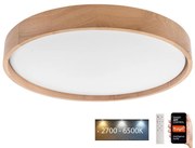 Brilagi - LED Stropní svítidlo MANAROLA SMART LED/36W/230V + DO Tuya