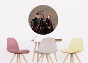 Samolepící vliesová fototapeta na zed' Harry Potter Kouzelné Trio | 70 x 70 cm | DCRD5805