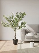 Sinsay - Decorative plant in a pot - zelená