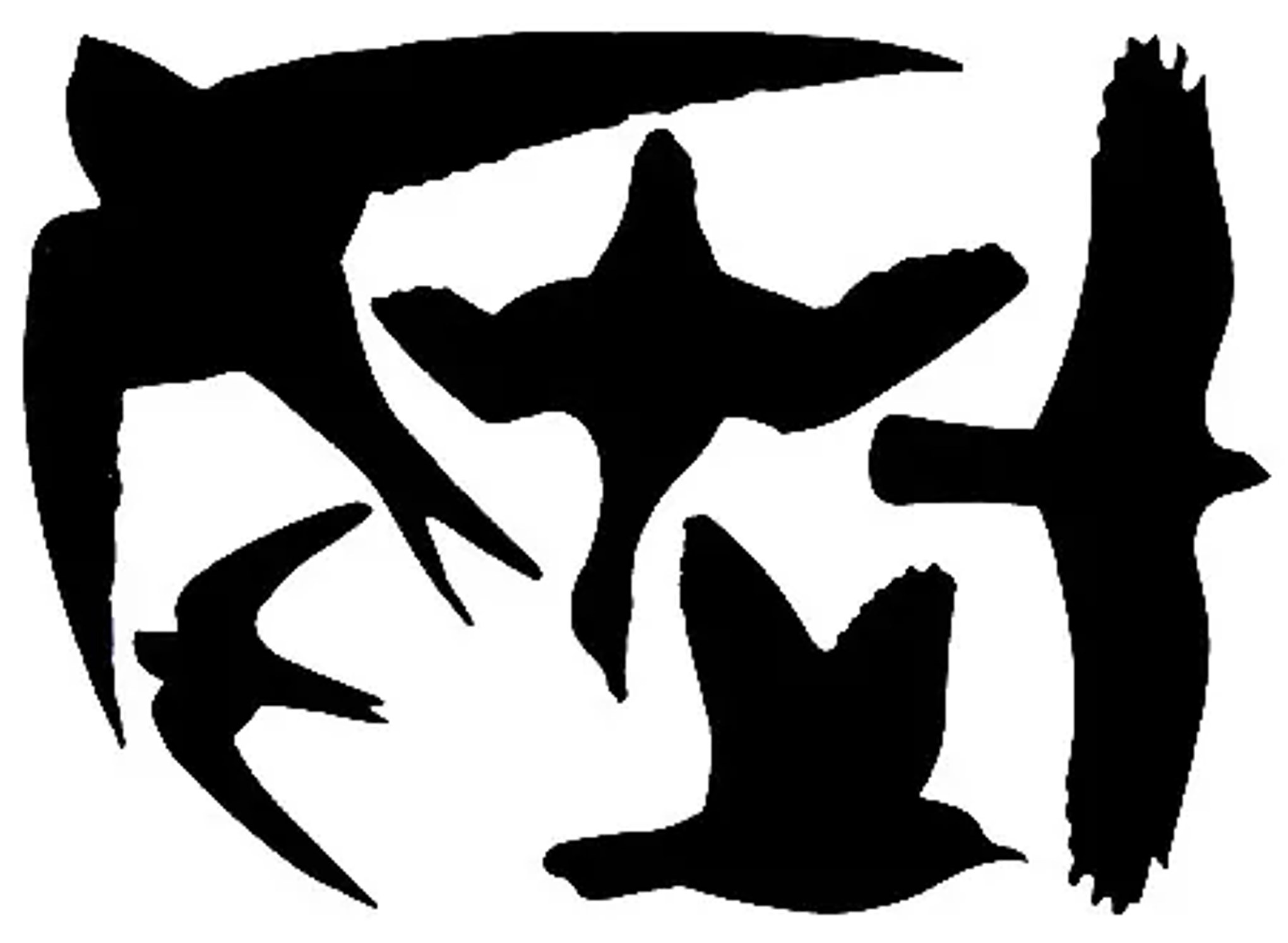 42e49f2139c3c431ded1bc661531c19932e2dc76