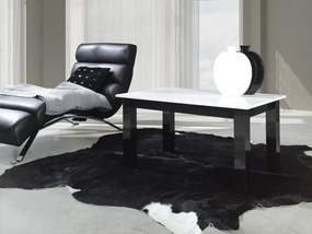 Maridex Konferenční stolek T24 Barva: bílý lesk/černý lesk