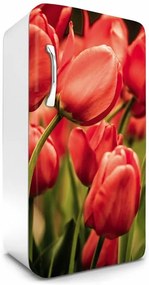 Fototapeta na lednici Red Tulips 65 x 120 cm FR120-012
