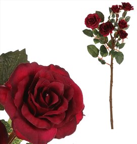Růže na kmínku UKK351 BOR bordó barva