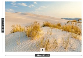 Fototapeta Bunesk Dunes 104x70