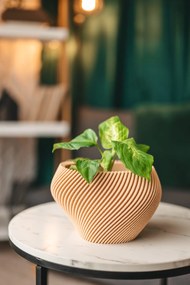 TORACE TRILOGIA - Váza, květináč a difuzér, dokonalá symetrie organických forem, javor