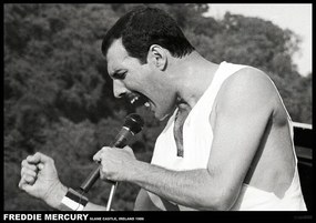 Plakát, Obraz - Freddie Mercury - Slane castle, Ireland 1996, (84.1 x 59.4 cm)