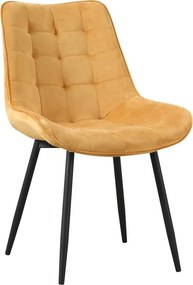 Casarredo - Komfort nábytek Jídelní židle TRIX žlutý velvet