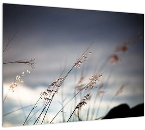 Skleněný obraz - Luční kvítí u jezera (70x50 cm)