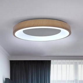 Brilagi - LED Stmívatel. svítidlo DORIA LED/60W/230V 3000-6500K pr. 60 cm + DO