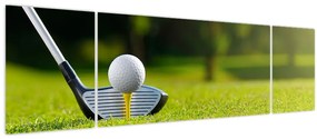 Obraz - Golf (170x50 cm)