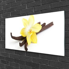 Obraz na skle Vanilka Rostlina Příroda 120x60 cm