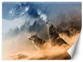Fototapeta, vlci zvířata les příroda - 150x105 cm