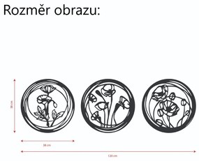 Živá Zeď Dřevěná nástěnná třídílná dekorace Vlčí máky černé