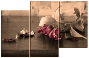 Obraz na plátně - Tři tulipány 1144FD (135x90 cm)